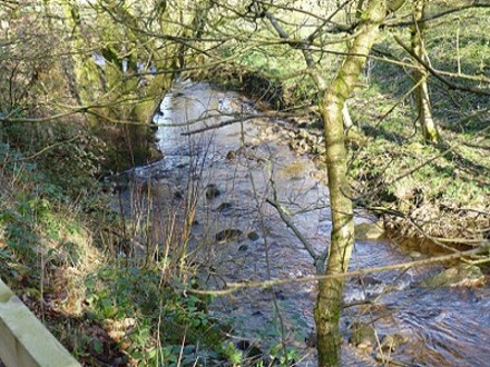 Diggle Brook is a class one trout stream